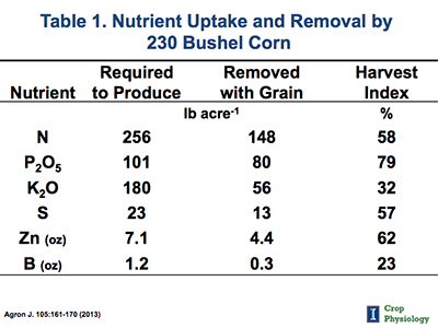 Understanding Nutrient Requirements for High-Yielding Corn