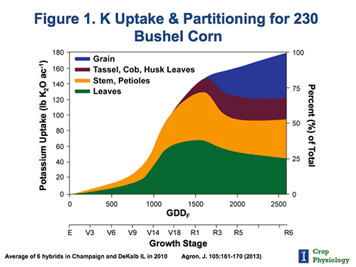 Understanding Nutrient Requirements for High-Yielding Corn