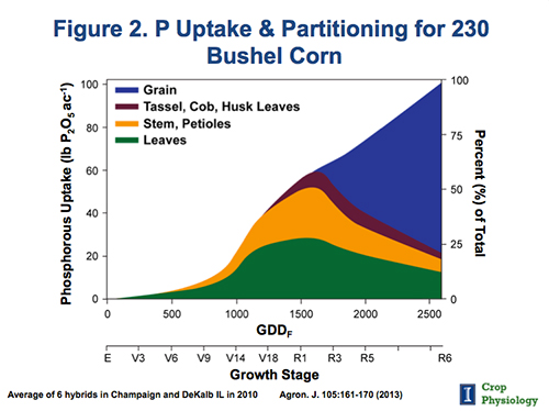 Understanding Nutrient Requirements for High-Yielding Corn
