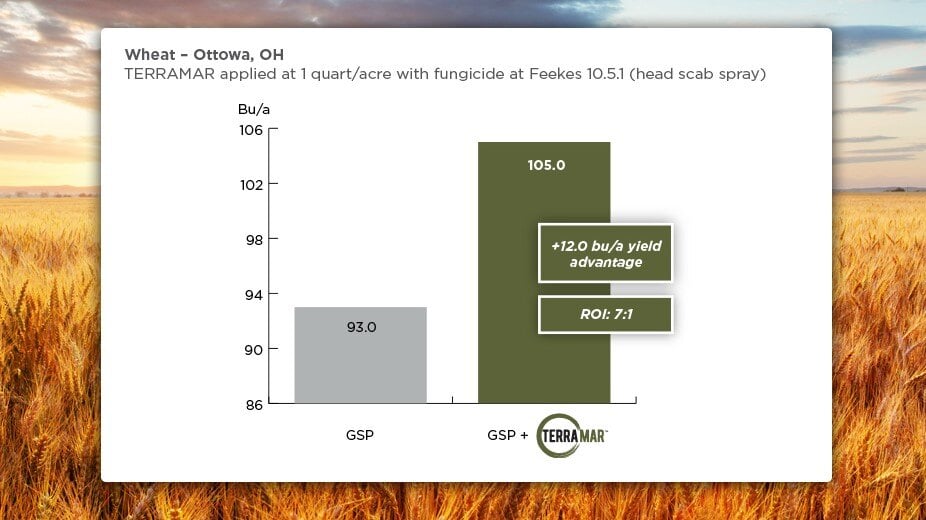 Enhancing Wheat Performance on Your Farm with TERRAMAR