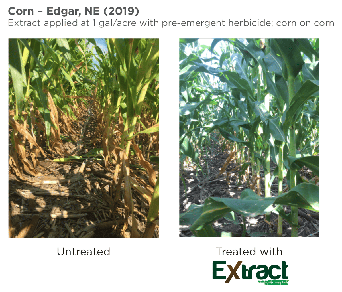 Continuous Corn Growers See Yield Benefit with EXTRACT PBA