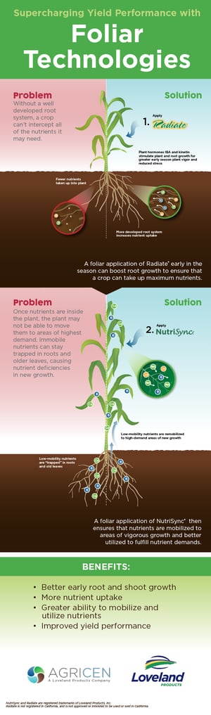 Plant Health Insights | Foliar Applications