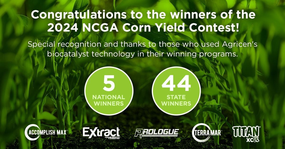 Recapping Success in the 2024 Corn Yield Contest