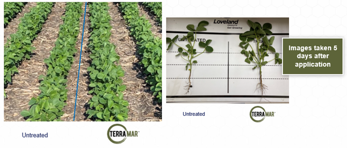 Terramar: Top 10 Field Performance Photos of 2023