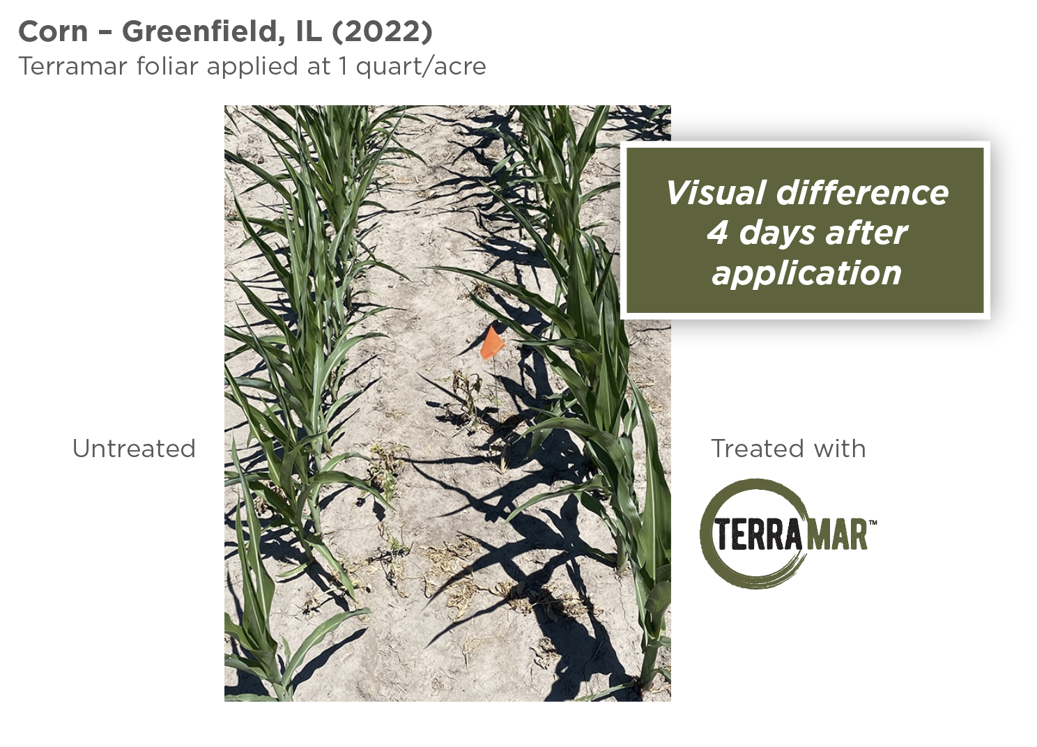 Three Ways to Combat Drought Stress in Corn